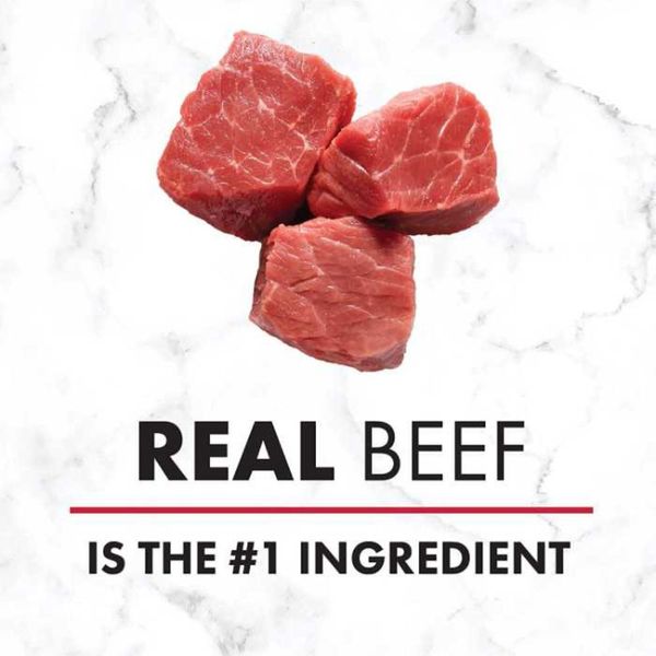 The Best Nutro Wet Dog Foods: A Comprehensive Product Review