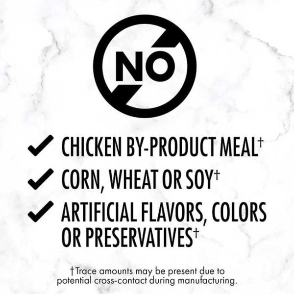 The Best Nutro Wet Dog Foods: A Comprehensive Product Review